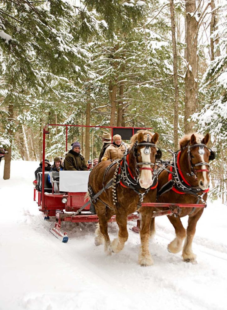Horse Drawn Sleigh Rides • Andaré