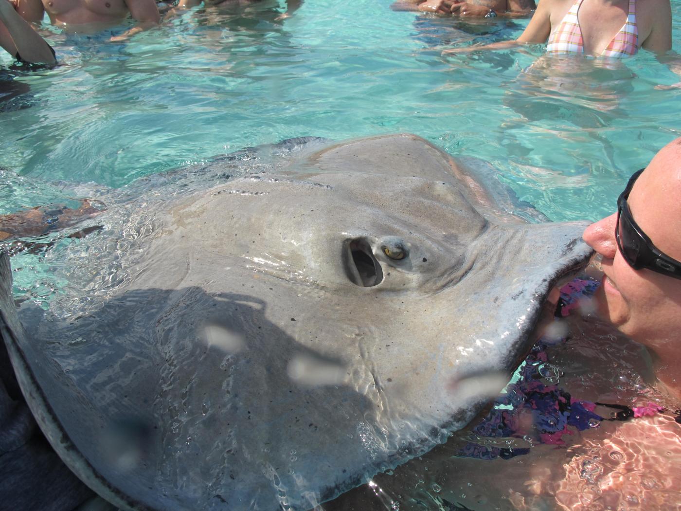 Stingray Sandbar & Starfish Point • Andaré