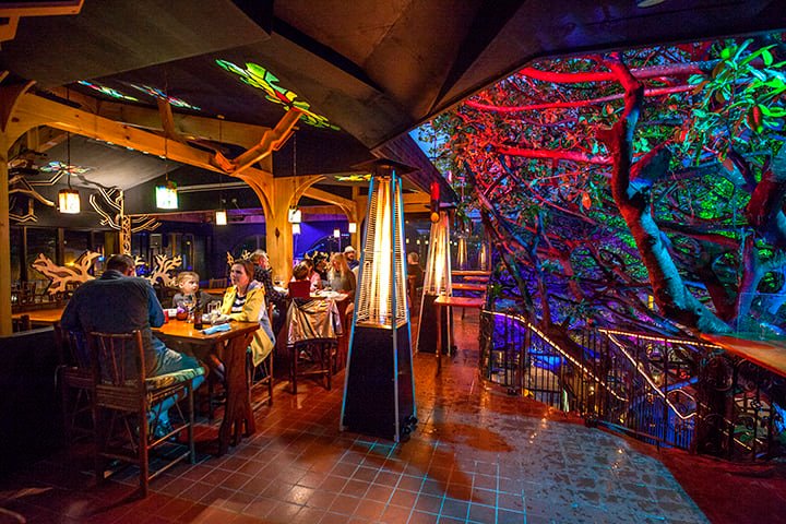 Tree House Restaurant • Andaré