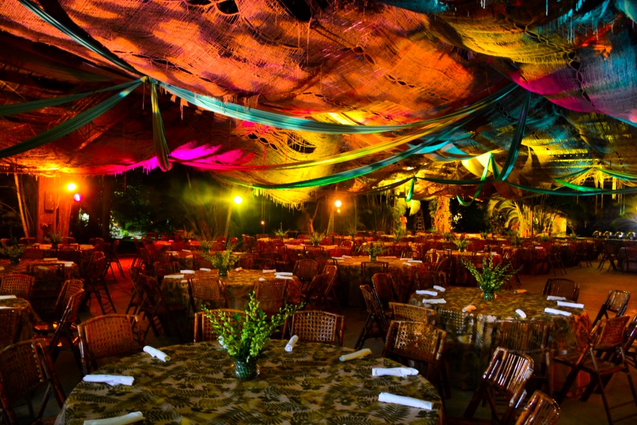 Coco Rio • Andaré